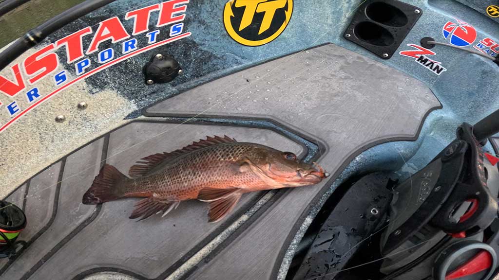 Hobie EVA Kayak Decking - Sunstate WaterSports